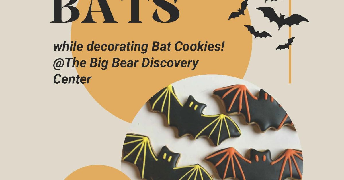 Presentación sobre el cielo oscuro - Aprenda sobre los murciélagos ...